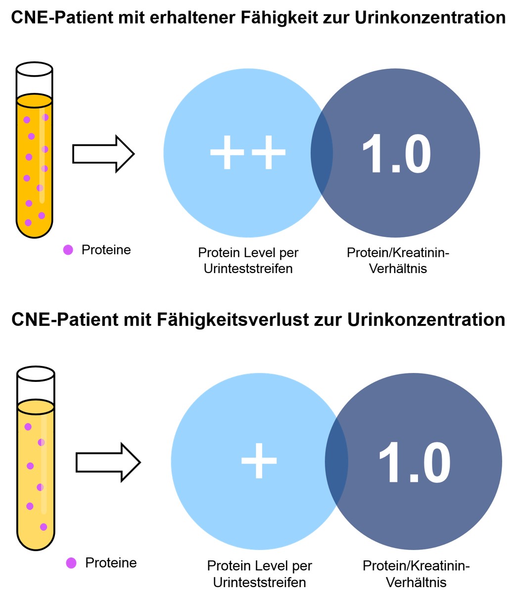 Urin Spezifisches Gewicht (USG) bei Katze und Hund - eNUPET